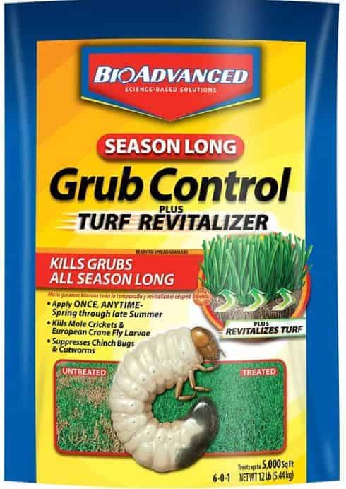 Best Grub Killer [Top 7 Liquid + Granular Insecticides - Reviews] | CG Lawn