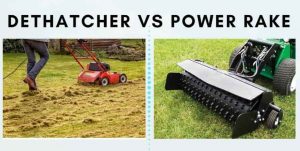 Power Rake vs Dethatcher: Differences + How They Work | CrabgrassLawn