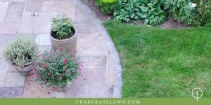 How To Edge a Lawn (10 Easy Steps): A Guide To The Perfect Edge ...