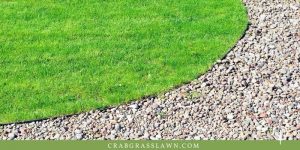 How To Edge a Lawn (10 Easy Steps): A Guide To The Perfect Edge ...