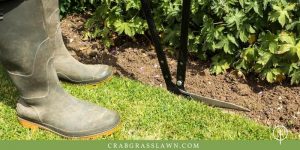 How To Edge a Lawn (10 Easy Steps): A Guide To The Perfect Edge ...