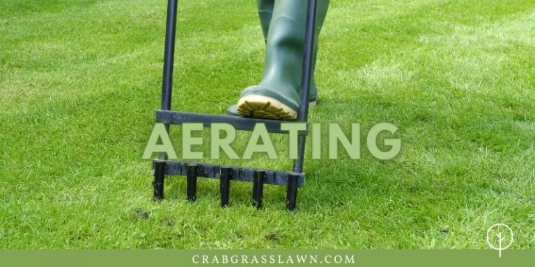 Fall Lawn Care - How To Prep Your Lawn During The Fall Season ...