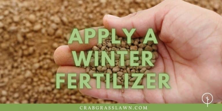 How To Keep Grass Healthy Through Winter! - Winter Lawn Care Guide ...