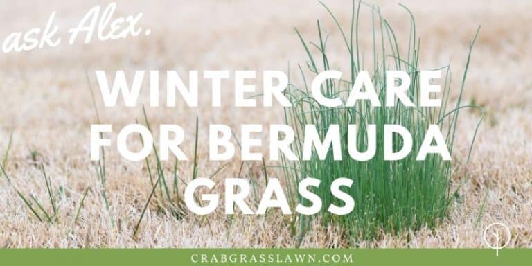 [Tips Included] How Short To Cut Grass Before Winter? Winter Lawn Care ...
