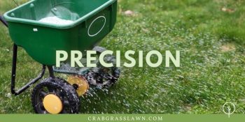 Best Fertilizer Spreader Reviews & Buyer Guide - 2021 Edition ...