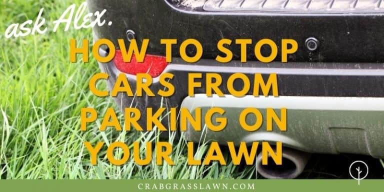 Someone Drove On My Lawn! What Should I Do? | CrabgrassLawn