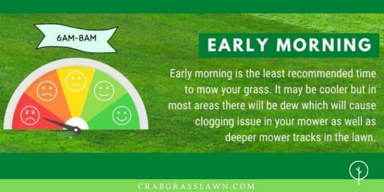 What Is The Best Time Of Day To Cut Your Grass? Lawn Mowing Etiquette ...
