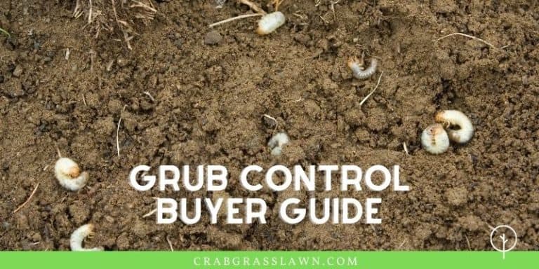 Best Grub Killer [Top 7 Liquid + Granular Insecticides - Reviews ...