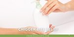 How To Get Rid Of Chiggers In Your Yard - and Prevent! | CrabgrassLawn