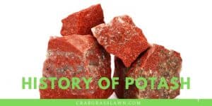 What Is Potash and What Is It Used For? (2025) | CrabgrassLawn