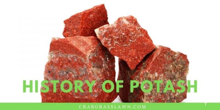 What Is Potash and What Is It Used For? (2025) | CrabgrassLawn