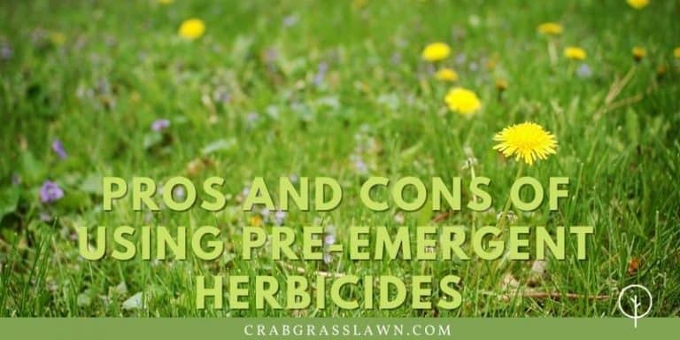 6 Best Pre-Emergent Herbicides For Lawns- How To Apply Pre-Emergents ...