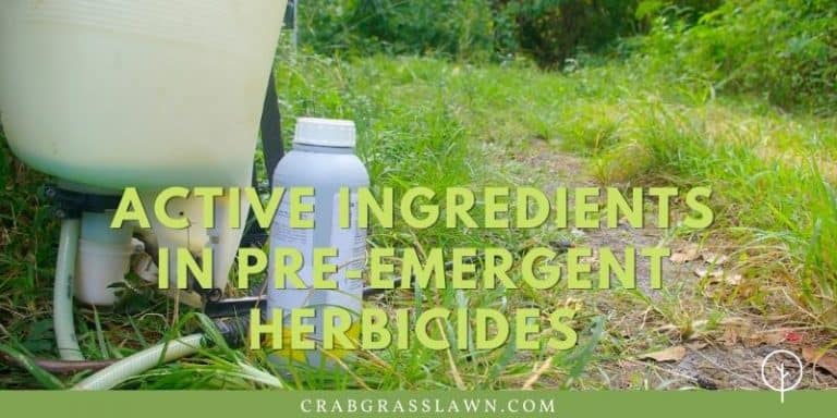 6 Best Pre-Emergent Herbicides For Lawns- How To Apply Pre-Emergents ...