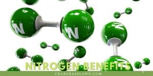 What Does NPK Mean on a Fertilizer Label? NPK Ratio Explained ...