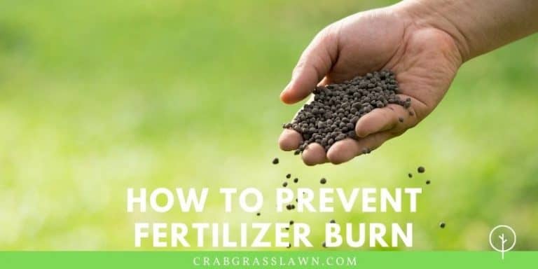 What is Fertilizer Burn? How to Avoid Burning Your Lawn with Fertilizer ...