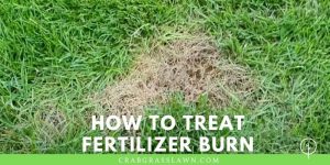 What is Fertilizer Burn? How to Avoid Burning Your Lawn with Fertilizer ...