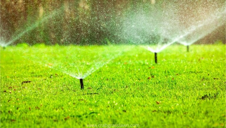 How Much Should A Lawn Irrigation System Cost? | CrabgrassLawn