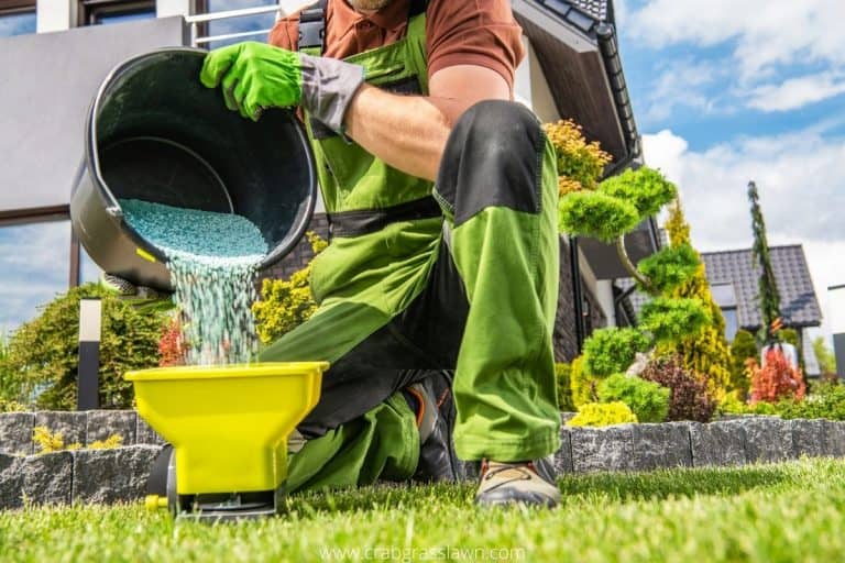 What are the Best Handheld Spreaders? 9 Top Options to Choose From ...