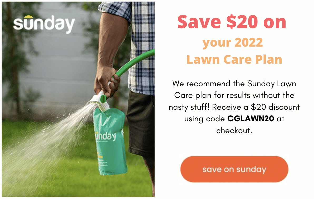 8 Best Weed Killers for Lawns [Comparison + Reviews 2021] | CG Lawn