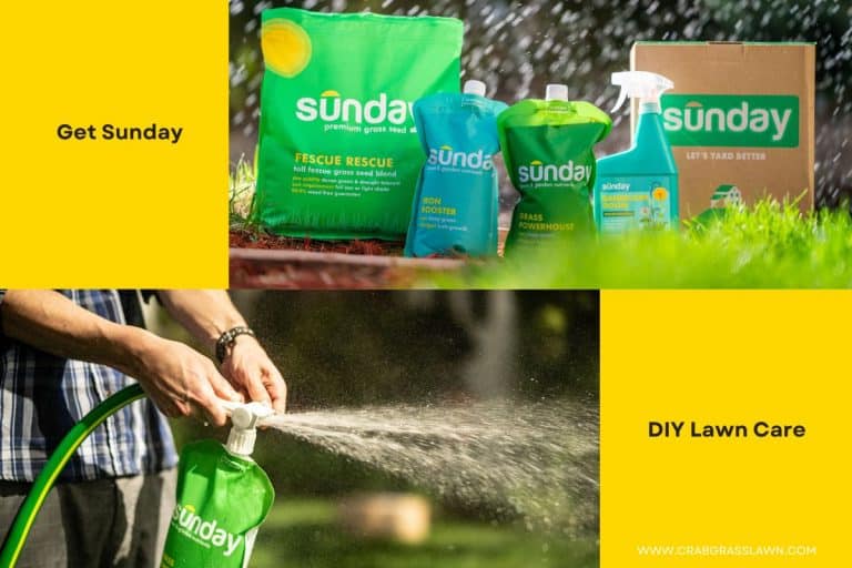 Sunday Lawn Care Review (Includes Promo Code) | CrabgrassLawn