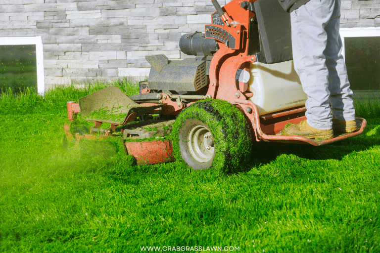 4 Best Lawn Striping Kits: Ultimate Guide & Secret Tips | CrabgrassLawn