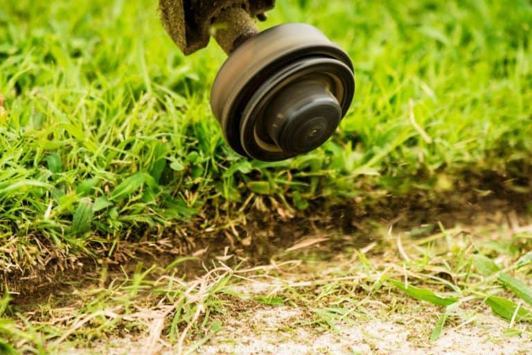 12 Best Commercial Weed Eaters - Heavy Duty Weed Wackers | CrabgrassLawn