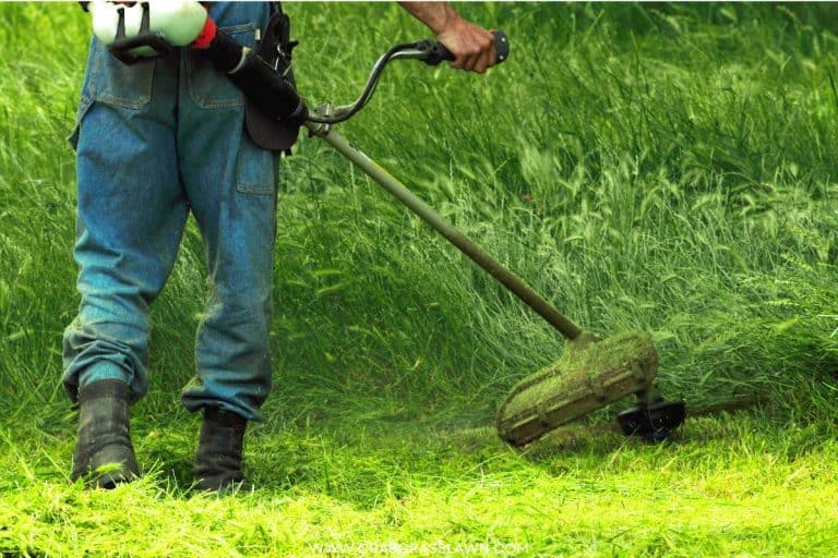 12 Best Commercial Weed Eaters - Heavy Duty Weed Wackers | CrabgrassLawn