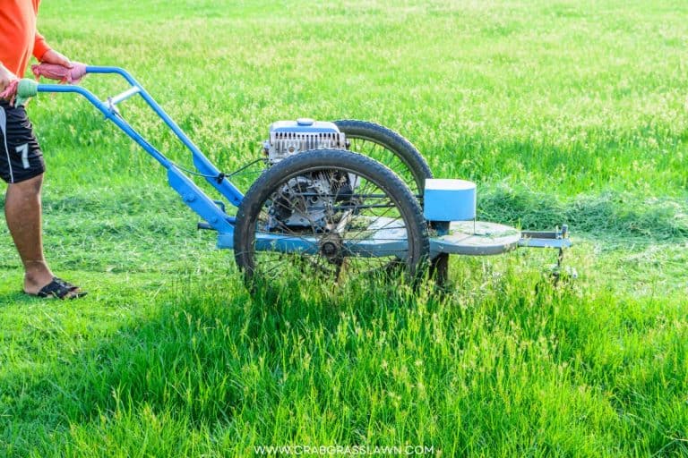 8 Best Walk Behind String Trimmers 2023 - Reviews & Buyer’s Guide ...