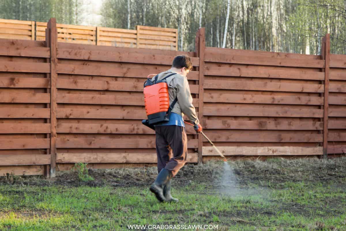 15 Best Broadleaf Weed Killers And Herbicides - Buying Guide ...