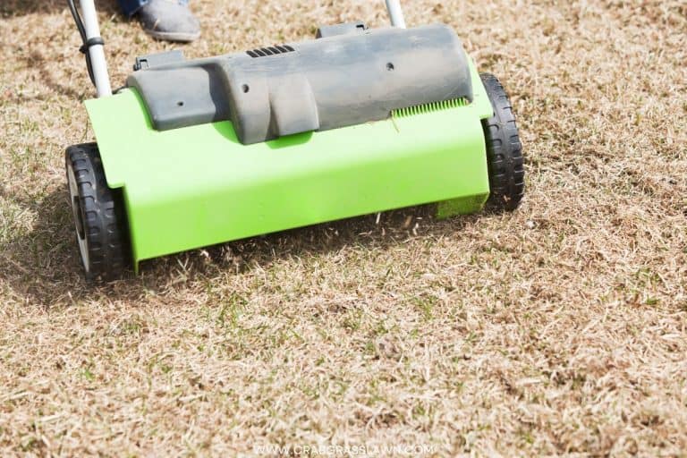 Scarifier vs Dethatcher: Differences and Which One to Choose ...