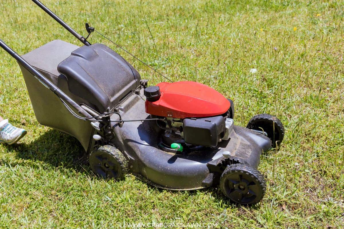 15 Best Lawn Mowers for Small Yards: Reviews & Buying Guide | CrabgrassLawn