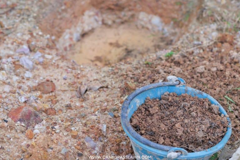 [SOLVED!] Clay Soil pH: Is Clay Soil Acidic or Alkaline? | CrabgrassLawn