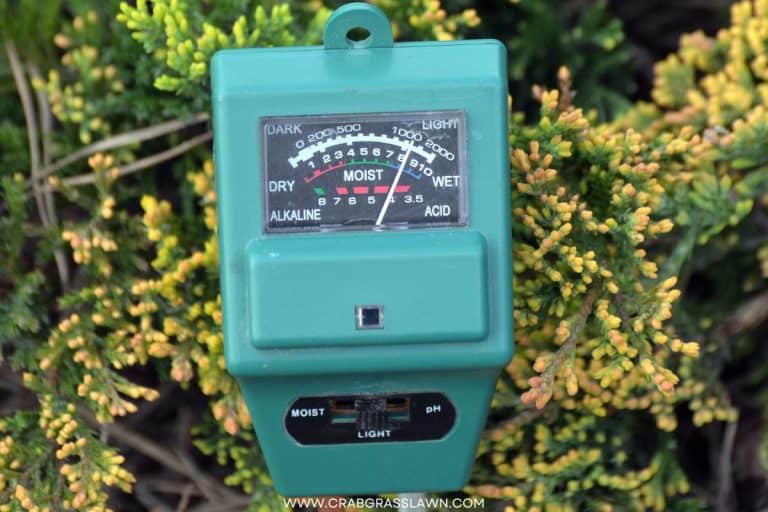 [SOLVED!] Clay Soil pH: Is Clay Soil Acidic or Alkaline? | CrabgrassLawn