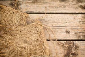 15 Effective Ways to Keep Birds From Eating Grass Seed! (2025 ...