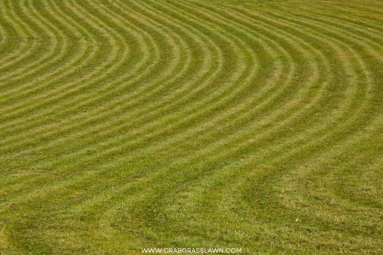 7 Professional Lawn Mowing Patterns (includes UNIQUE Techniques) (2025 ...