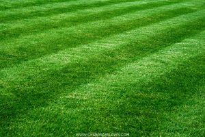7 Professional Lawn Mowing Patterns (includes UNIQUE Techniques) (2025 ...
