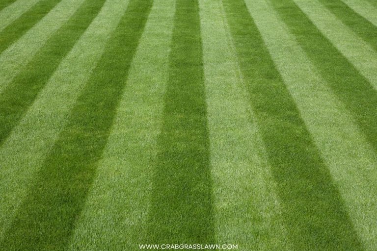 7 Professional Lawn Mowing Patterns (includes UNIQUE Techniques) (2025 ...