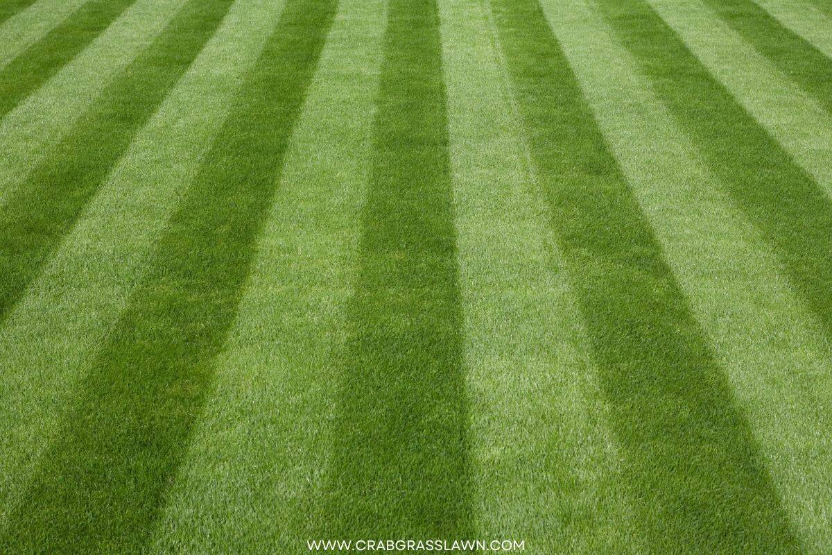 7 Professional Lawn Mowing Patterns (includes UNIQUE Techniques) (2024 ... 7 Professional Lawn Mowing Patterns (includes UNIQUE Techniques) (2024 ...