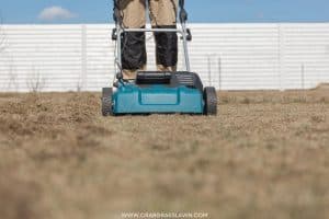 Beginners Guide to Lawn Dethatching (2026) | CrabgrassLawn