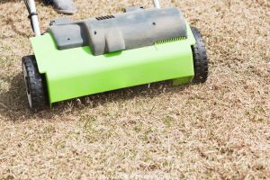 When Should You Power Rake Your Lawn? (2023) | CrabgrassLawn