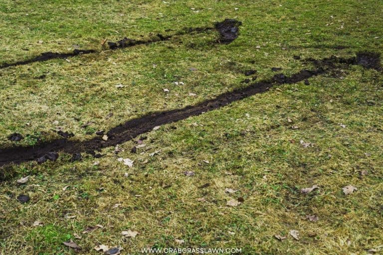 How to Level a Yard and Fix a Bumpy Lawn | CrabgrassLawn