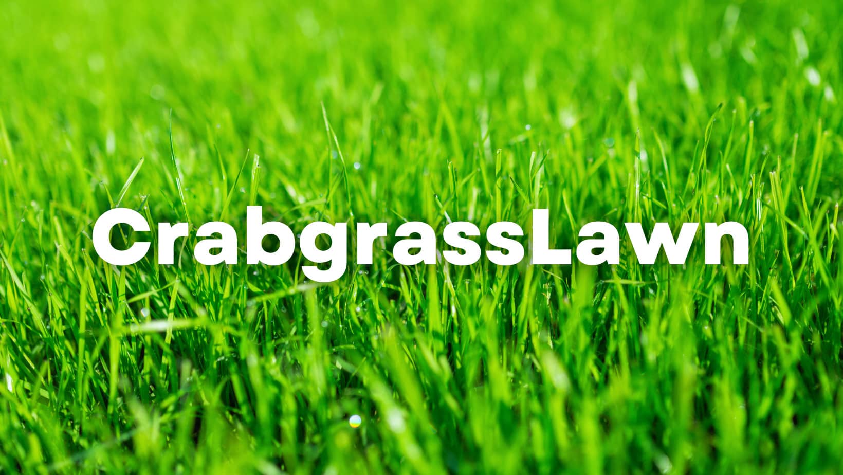 CrabgrassLawn | CrabgrassLawn